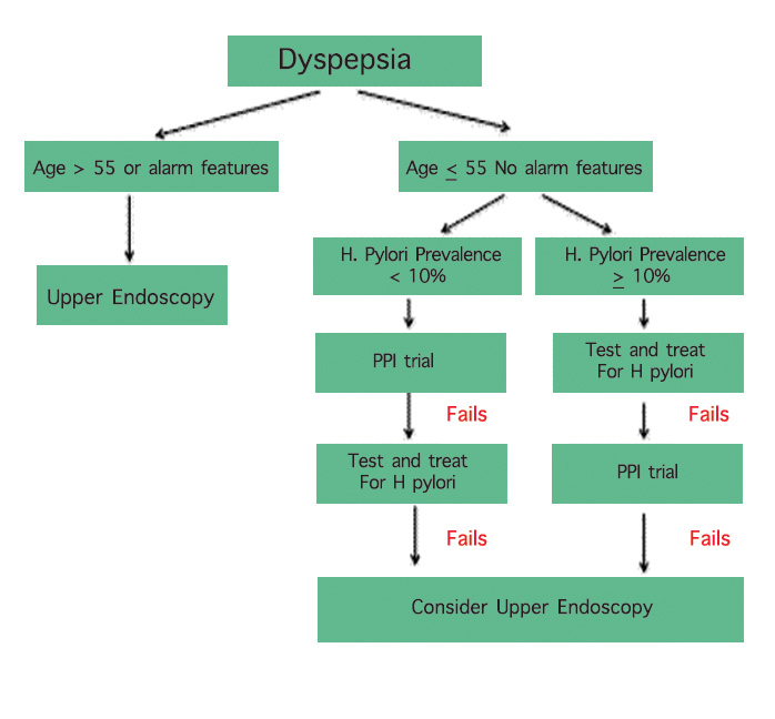 Dyspepsia: Upper abdominal pain, bloating, fullness • Southwest Florida ...