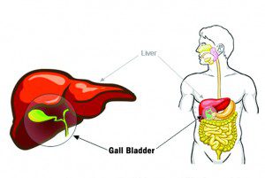 Minimally Invasive Surgical Options for Gallbladder Disease • Southwest ...